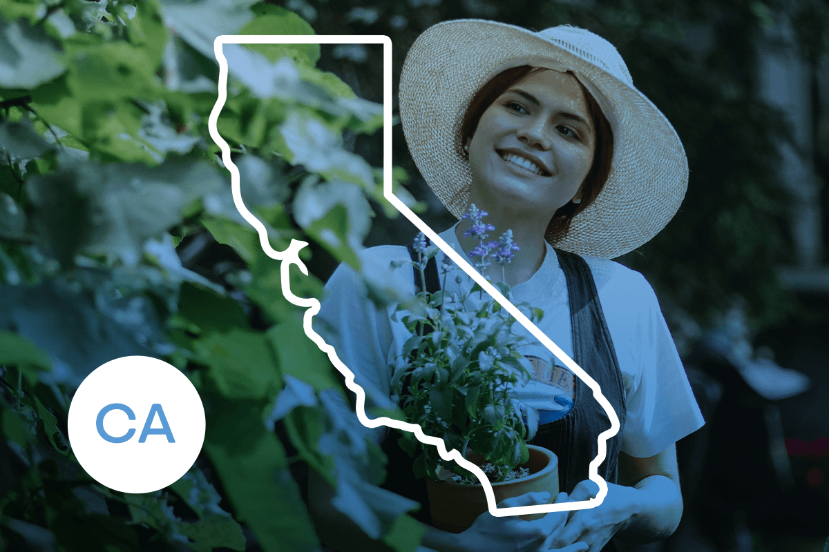 California Workers’ Compensation Insurance for Compliance | OnPay